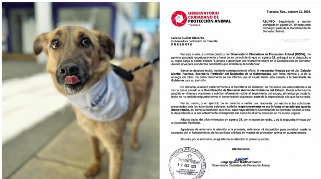 Exige OCPA transparencia y responsabilidad gubernamental en materia de ...